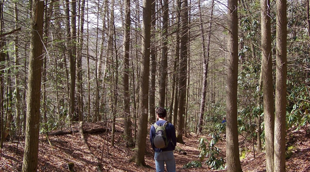 Safety Tips for the Great Outdoors - Wild Virginia