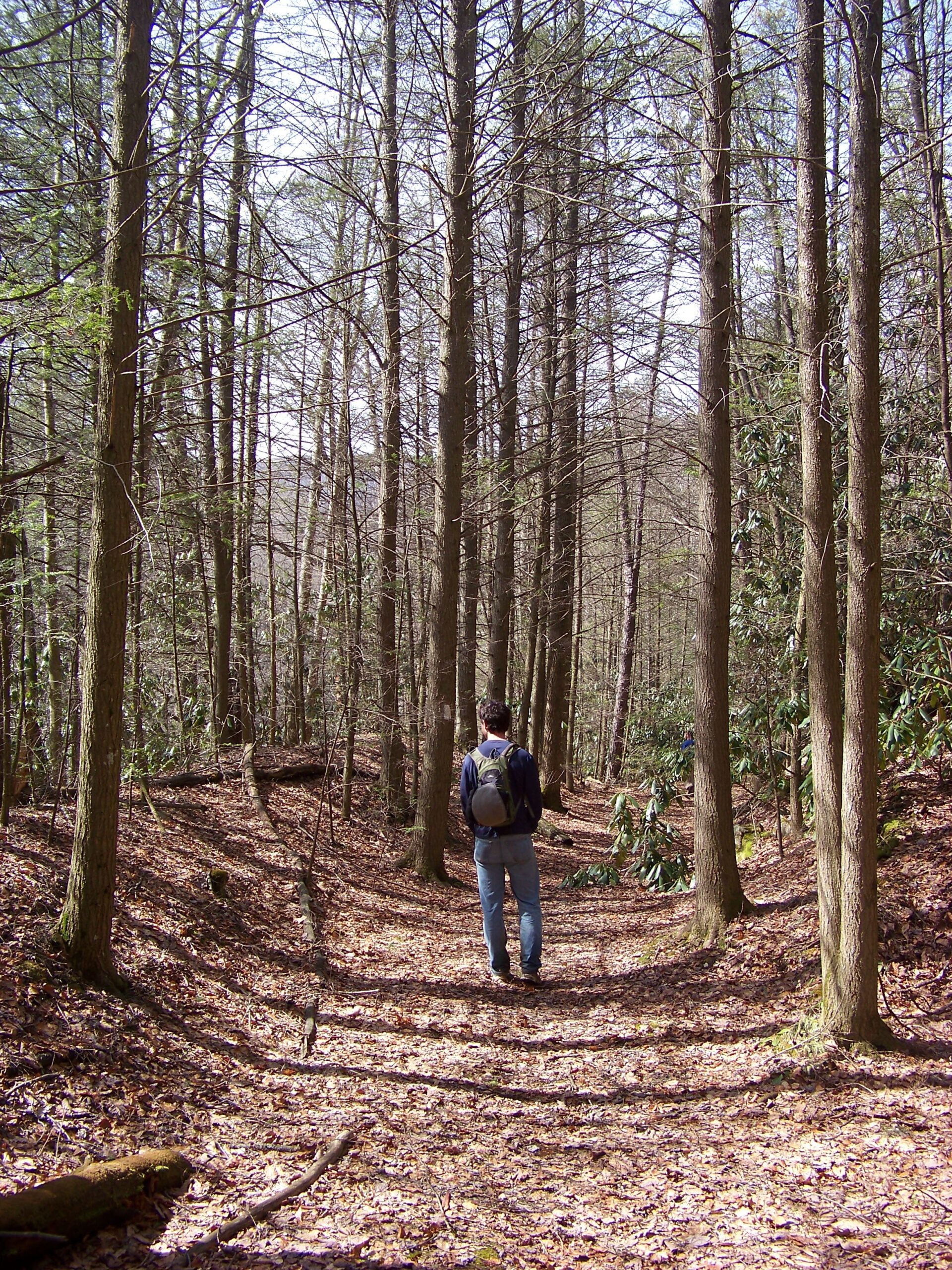 Safety Tips for the Great Outdoors - Wild Virginia