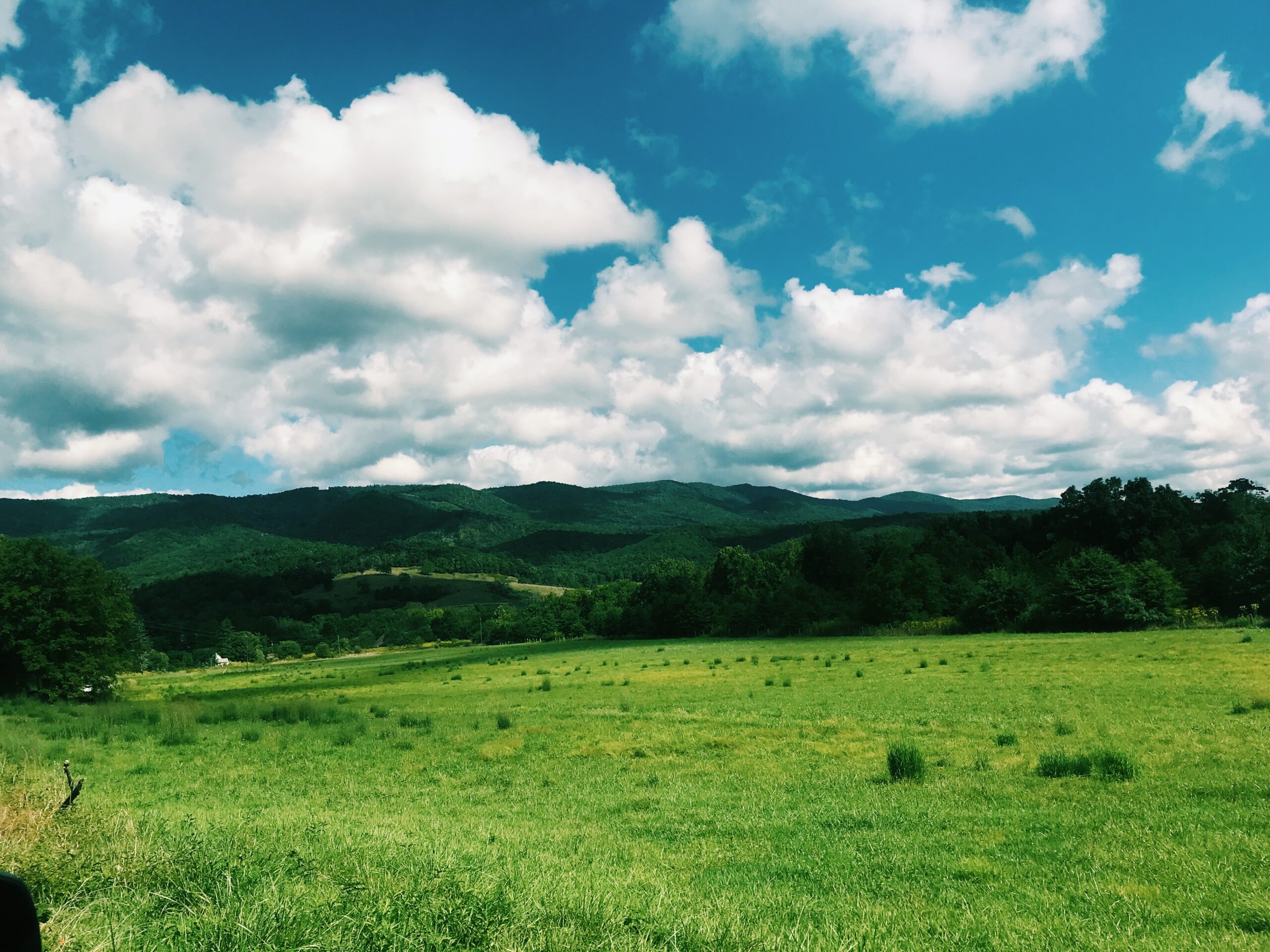 Bath County Atlantic Coast Pipeline Camping Trip - Wild Virginia