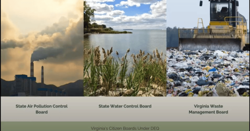 Read up on Latest Blog Posts and Updates - Wild Virginia