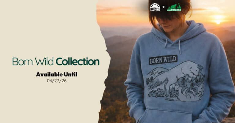 5 Ways to Start Something New This Earth Day - Wild Virginia